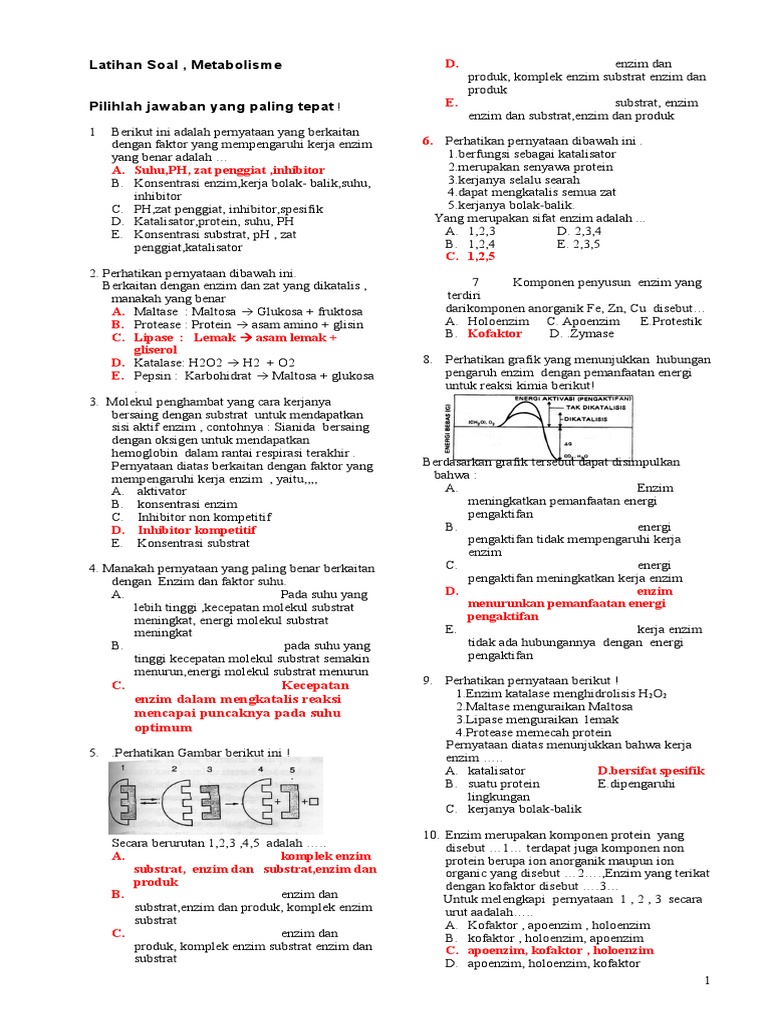Latihan Soal Metabolisme Enzim | PDF