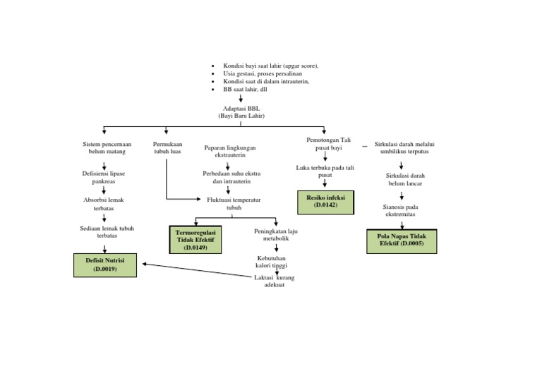 Pathway Nutrisi Bayi Baru Lahir | PDF