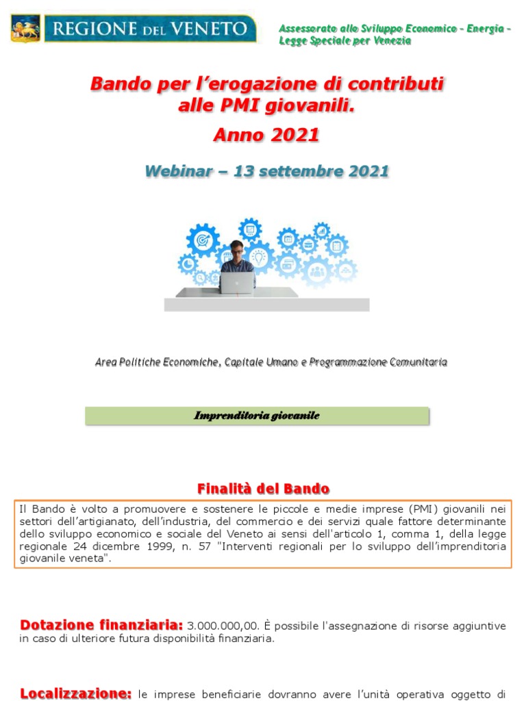 Slide Presentazione Bando | PDF