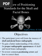 Facial Bones | PDF | Anatomical Terms Of Location | Human Nose