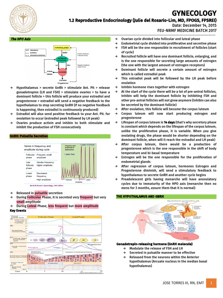 1.2 Reproductive Endocrinology (Lim) | PDF | Menstrual Cycle ...
