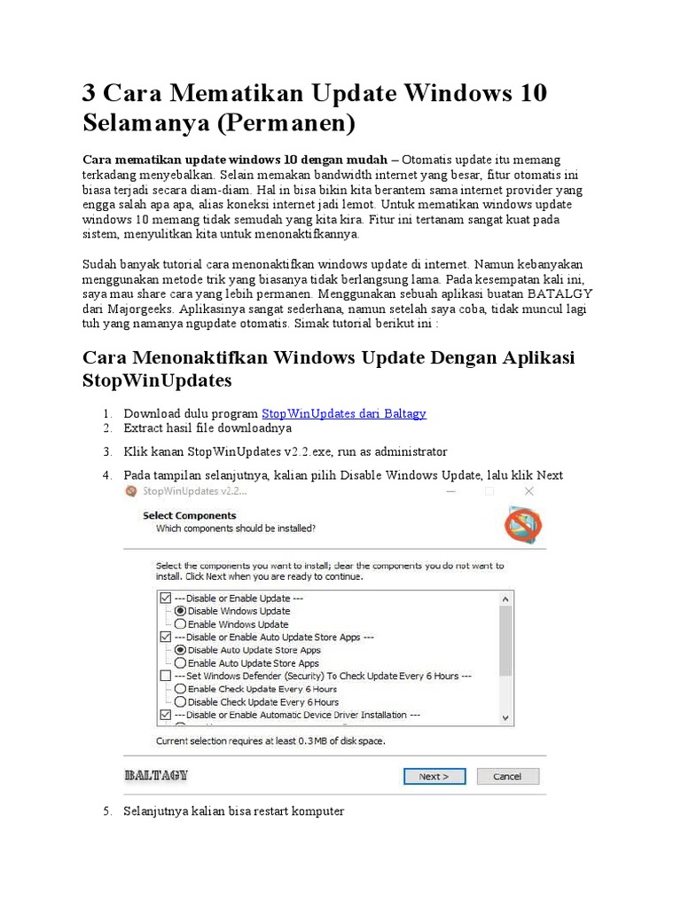 3 Cara Mematikan Update Windows 10 Selamanya | PDF