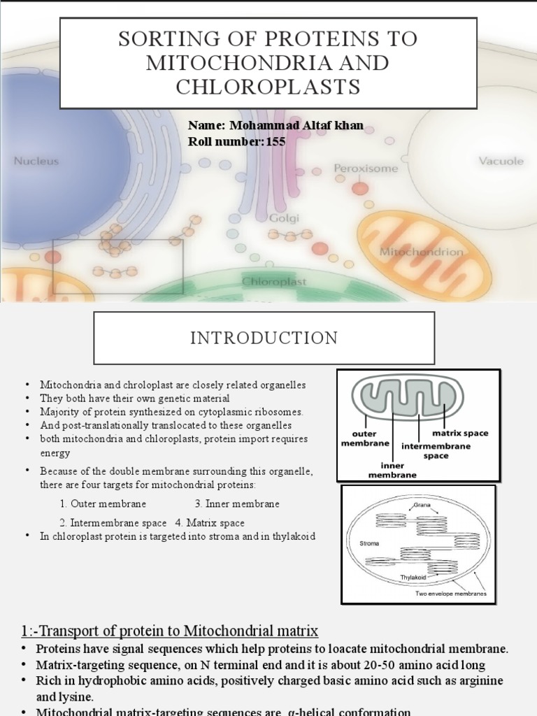 Proteins Sorting Mitochondria and Chloroplast | PDF | Protein Targeting ...