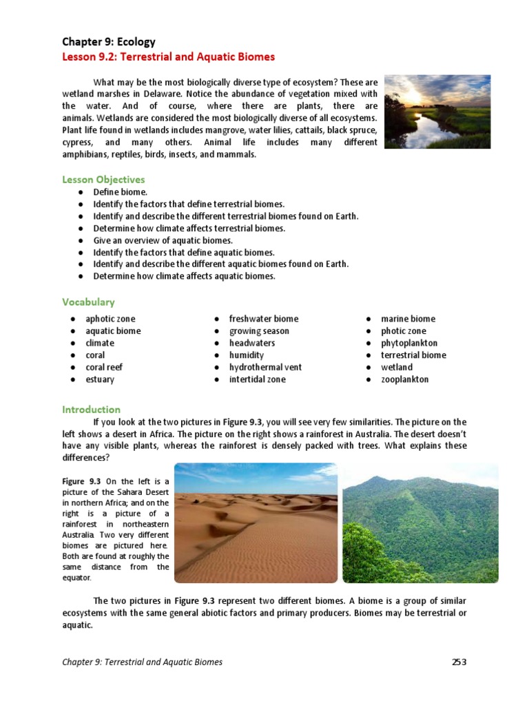 Lesson 9.2: Terrestrial and Aquatic Biomes: Chapter 9: Ecology | PDF ...