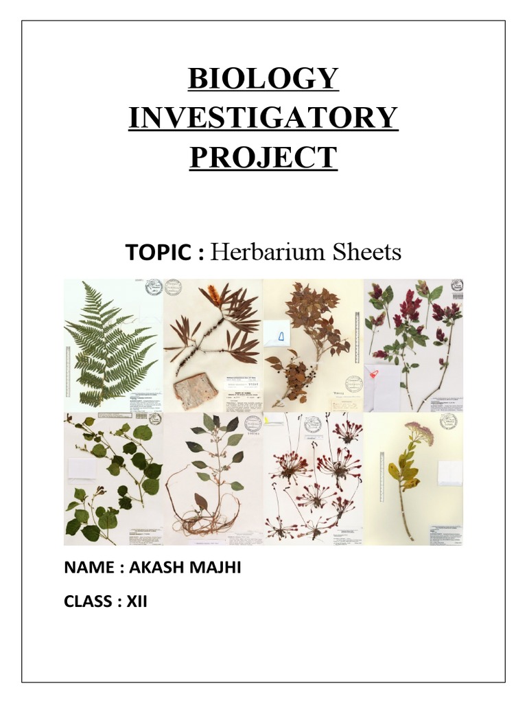 Preparing an Herbarium: A Comprehensive Collection of Preserved Plant ...