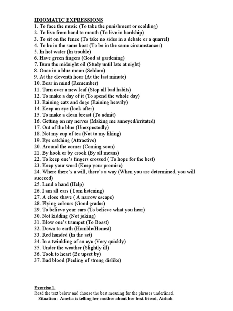 Idiomatic Expressions: Exercise 1. Situation: Amelia Is Telling Her Mother About Her Best Friend ...