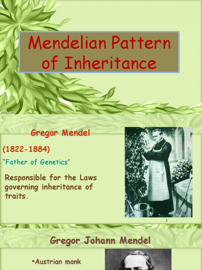 Ex3.a.mendelian Pattern of Inheritance | PDF | Dominance (Genetics ...