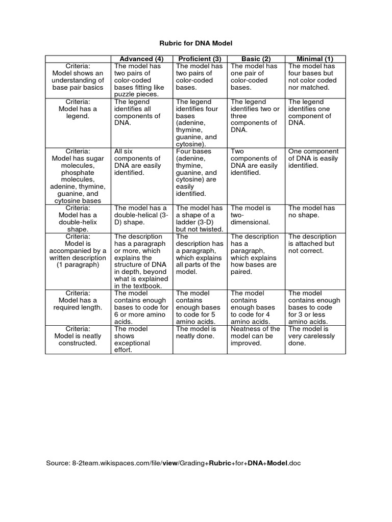 Rubric For DNA and RNA Model | PDF | Dna | Rna