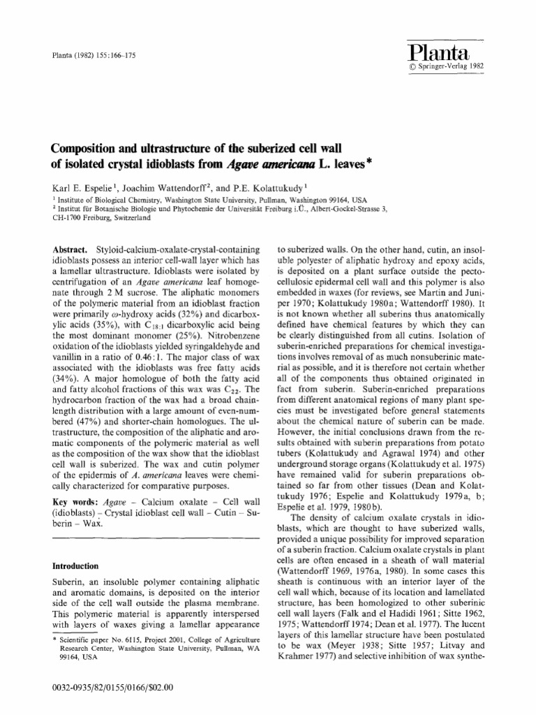 Composition and Ultrastructure of The Suberized Cell Wall | PDF | Thin ...