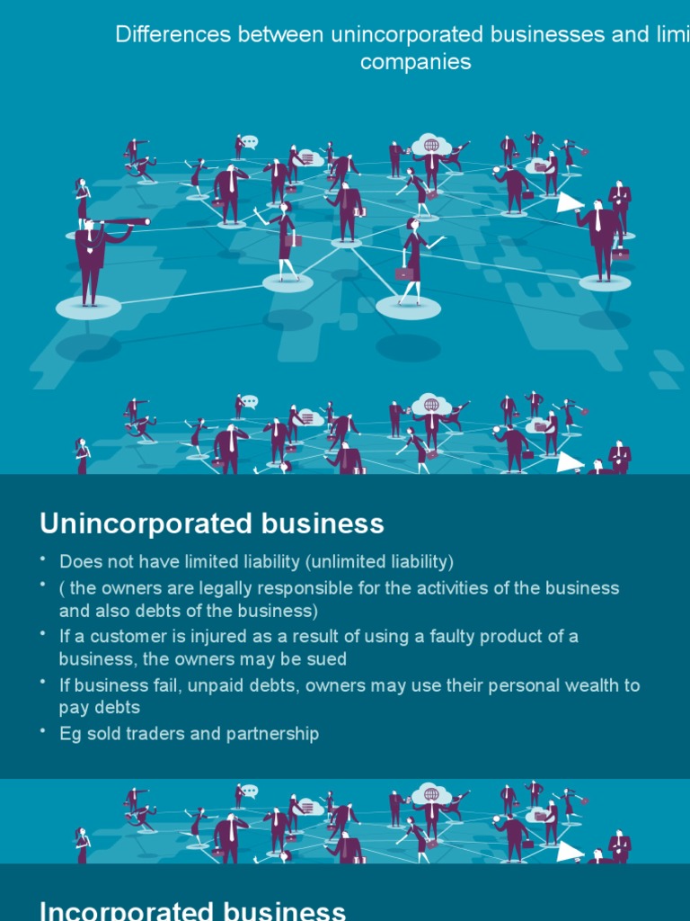 Unincorporated and Incorporated Businesses | PDF
