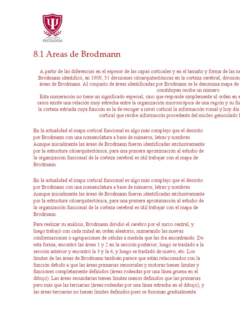 Mapa y Funciones de Áreas de Brodmann | PDF | Corteza cerebral | Cerebro
