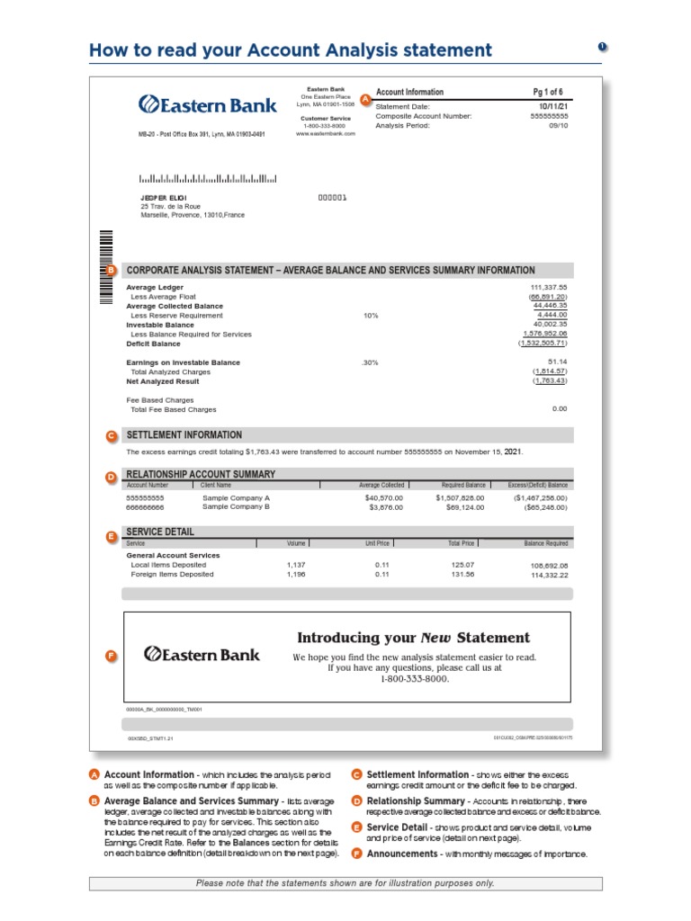 How To Read Your Account Analysis Statement | PDF | Banks | Government ...