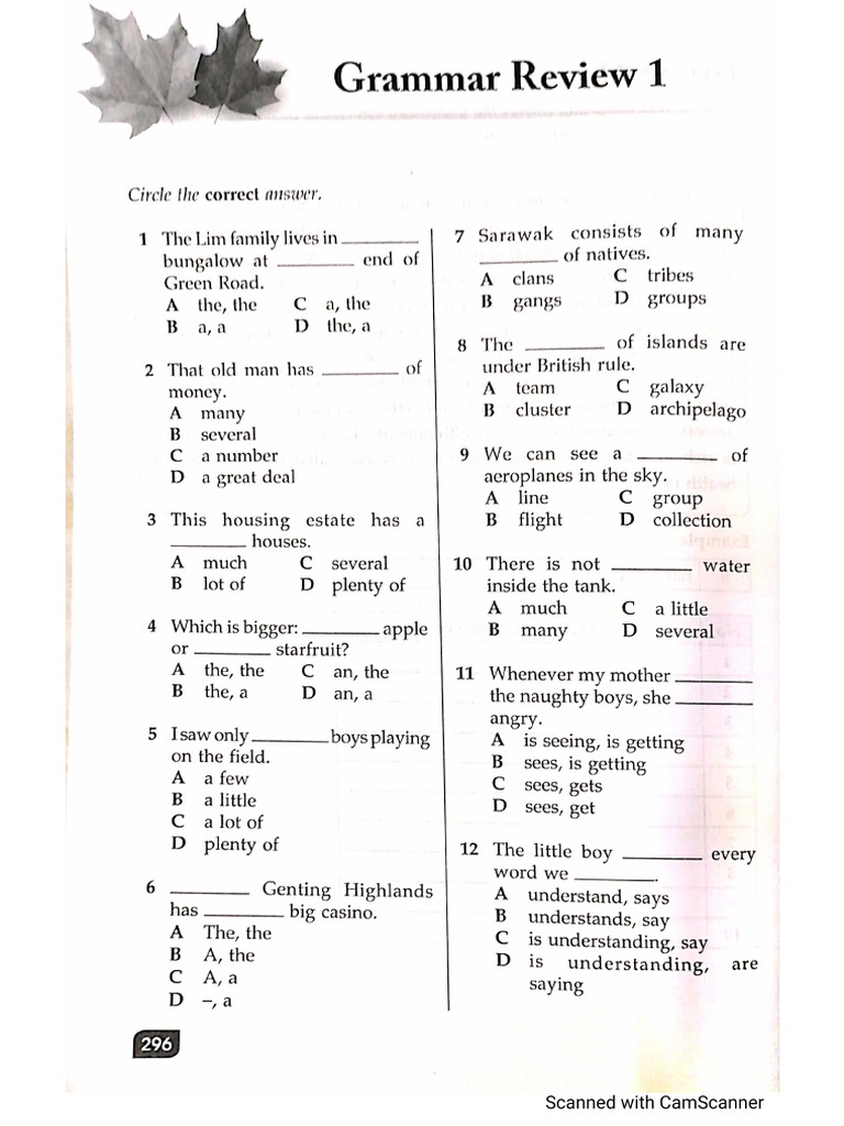 Grammar Review | PDF