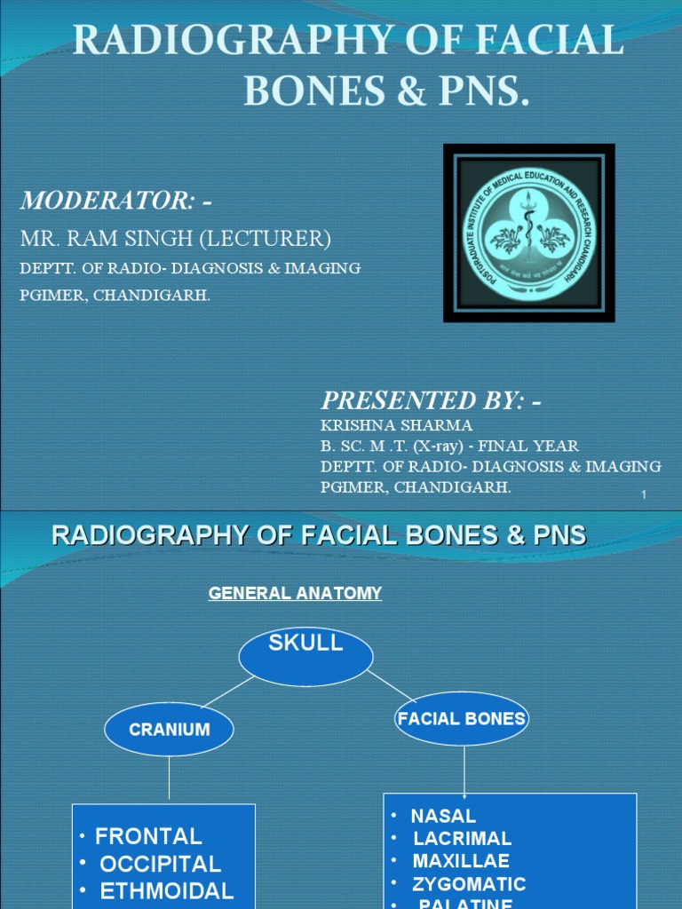 Facial Bones & PNS Radiography Guide | PDF | Imaging | Skull