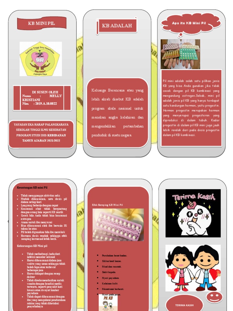 Liflet KB Mini Pil | PDF