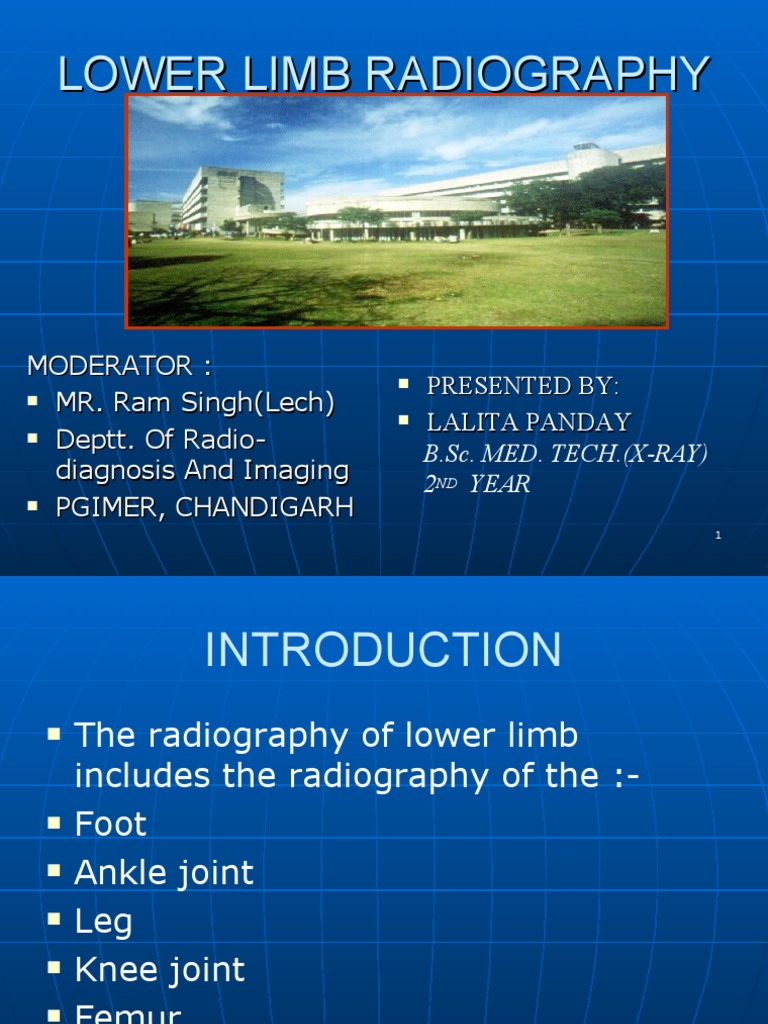 Lower Limb Radiography | PDF | Nature | Knee