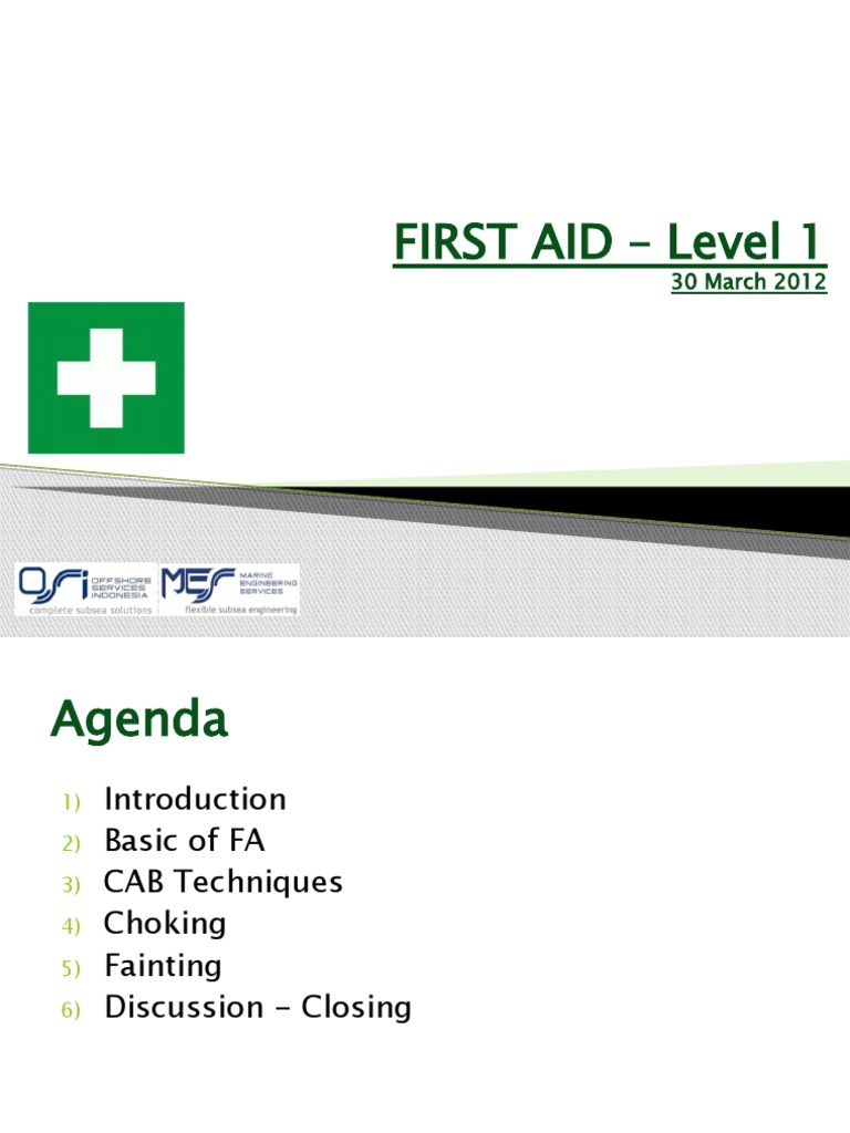 First Aid - Level 1: 30 March 2012 | PDF | First Aid | Cardiopulmonary ...