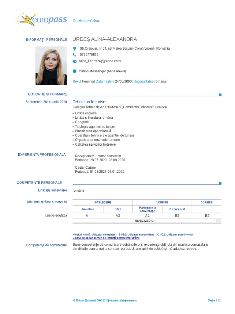 CV Alina Urdes | PDF