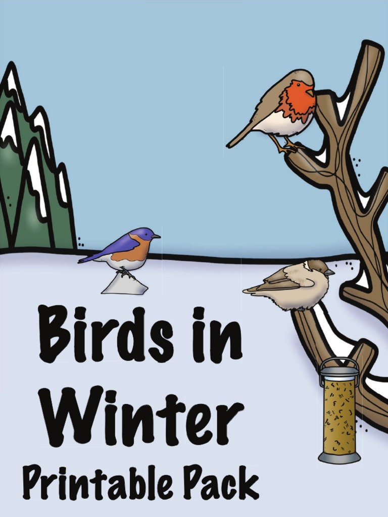 Birds in Winter Printable Pack 123HS4M A | PDF | Word | Bird Migration