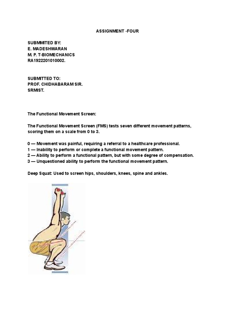 Assignment 4 | PDF | Anatomical Terms Of Motion | Human Anatomy