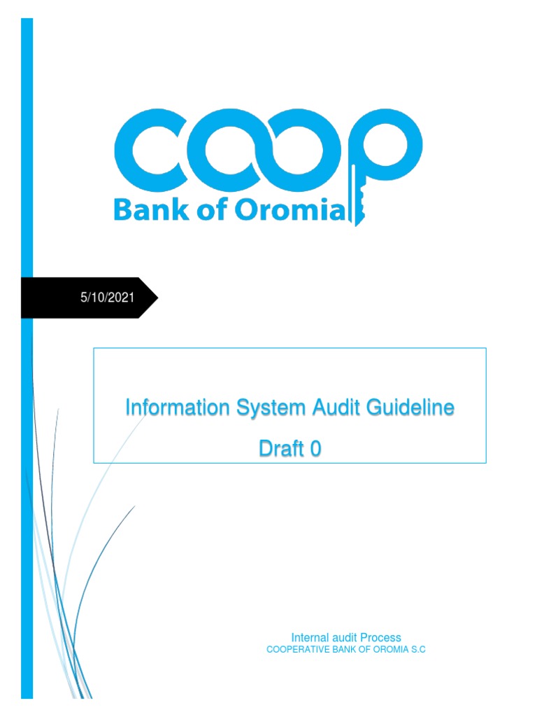 Information System Audit Guideline | PDF | Audit | Internal Audit