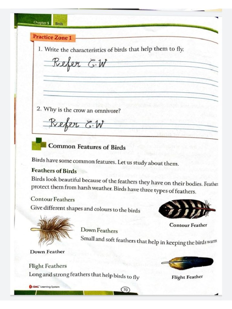 Grade 3 Science Book Exercise | PDF