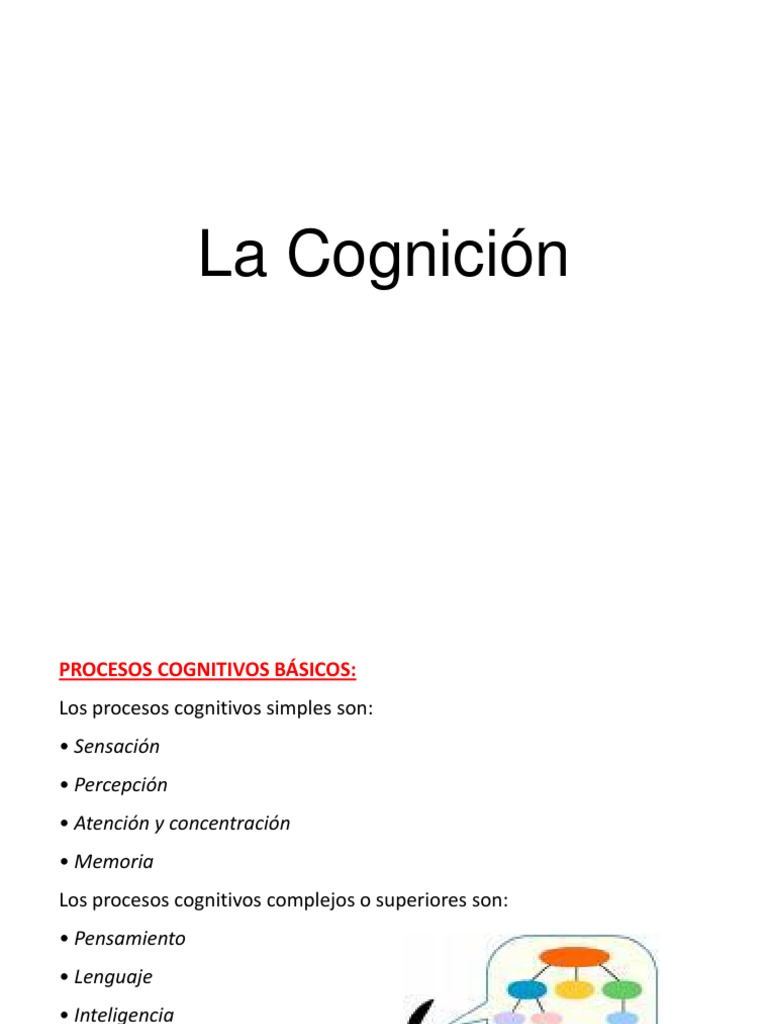Procesos Cognitivos: Sensación a Aprendizaje | PDF | Percepción | Memoria