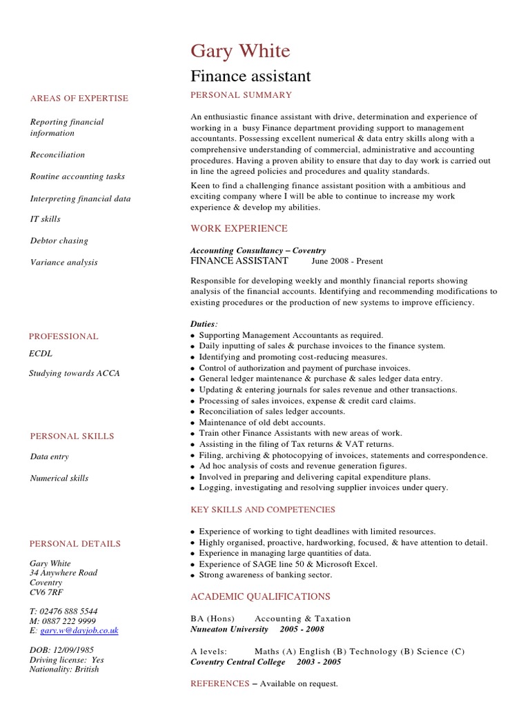 Finance Assistant CV Template | Download Free PDF | Invoice | Accounting