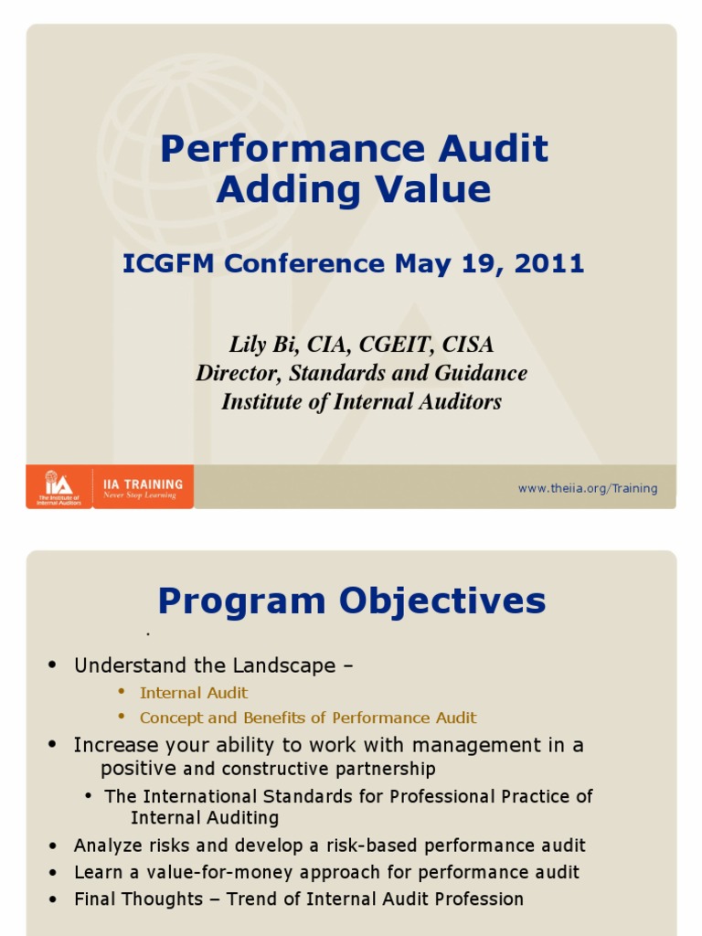 Performance Audit Adding Value | PDF | Internal Audit | Audit