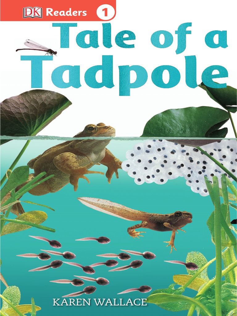 1 - DK Readers L1 Tale of A Tadpole by Karen Wallace | PDF | Frog