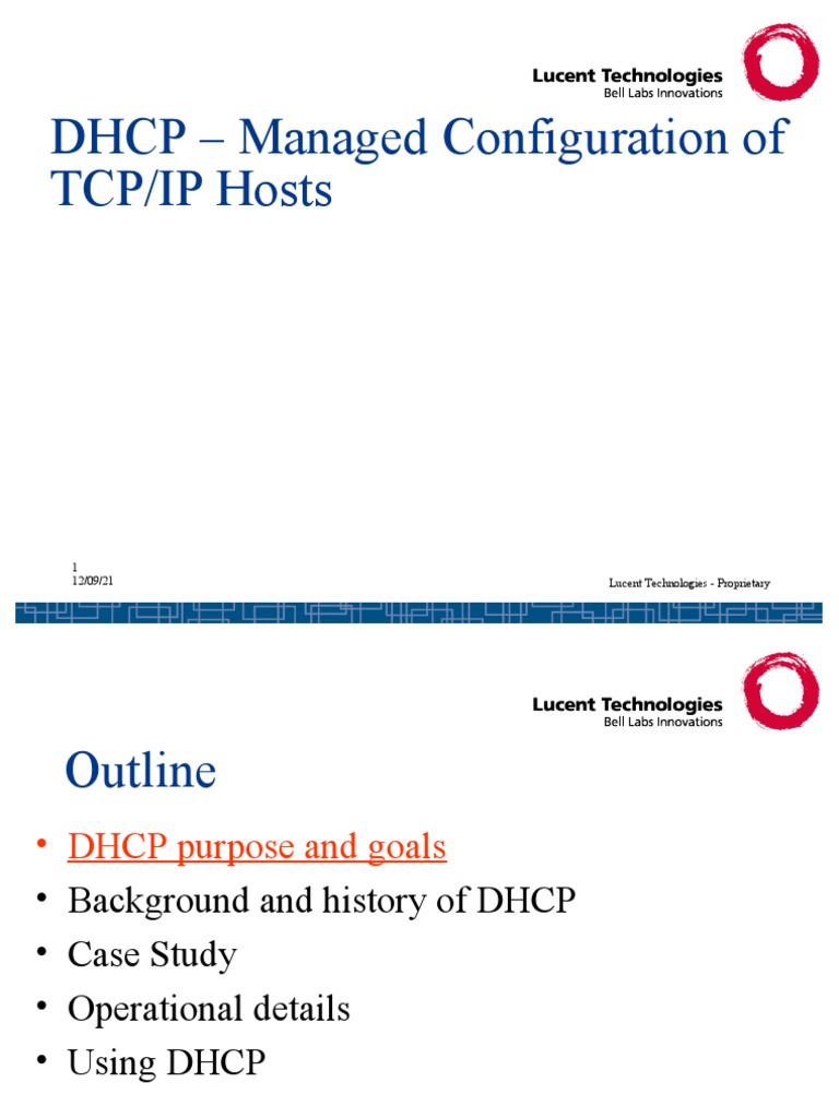 DHCP Basics | Download Free PDF | Ip Address | I Pv6