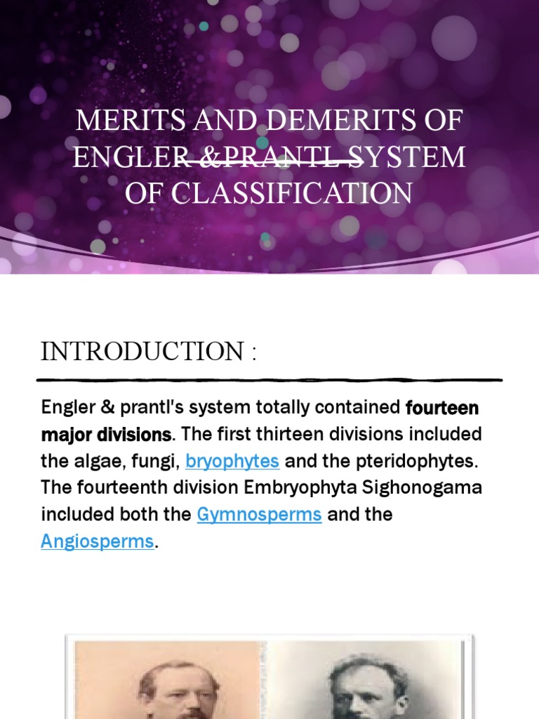 Merits and Demerits of Engler &prantl System of Classification | PDF