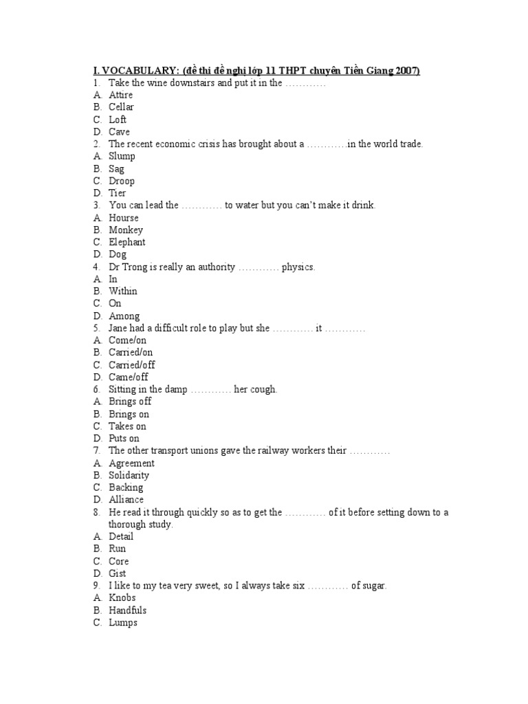 Vocabulary and Grammar Exercises for 11th Grade | PDF