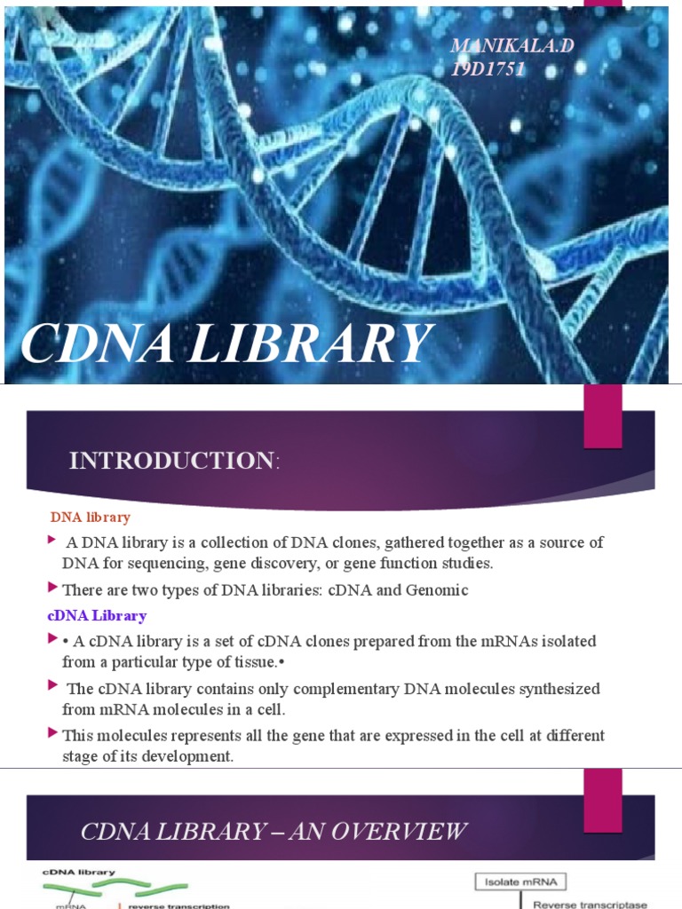 cDNA Library | PDF | Complementary Dna | Molecular Cloning