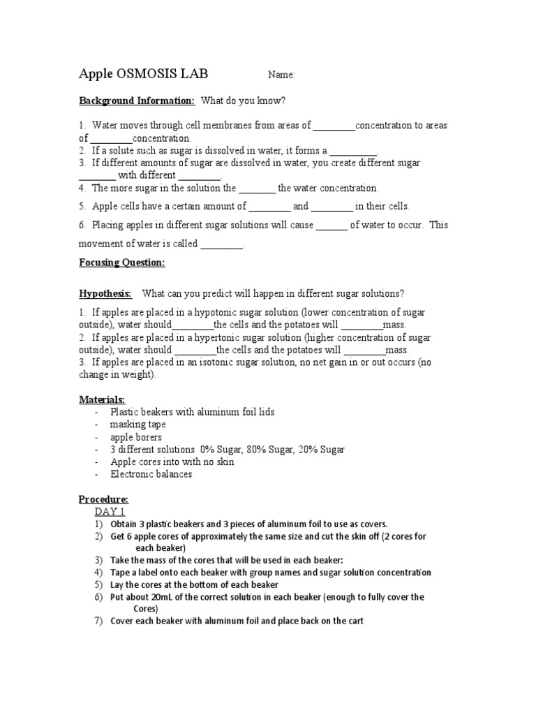 Apple Osmosis Lab: Sugar Solution Effects | PDF | Osmosis | Chemistry