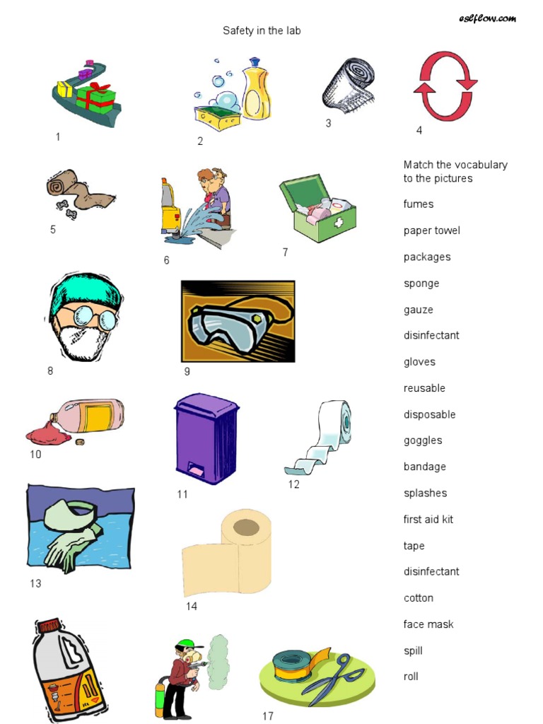Lab Safety Vocabulary Guide | PDF | Health Sciences | Medical Specialties