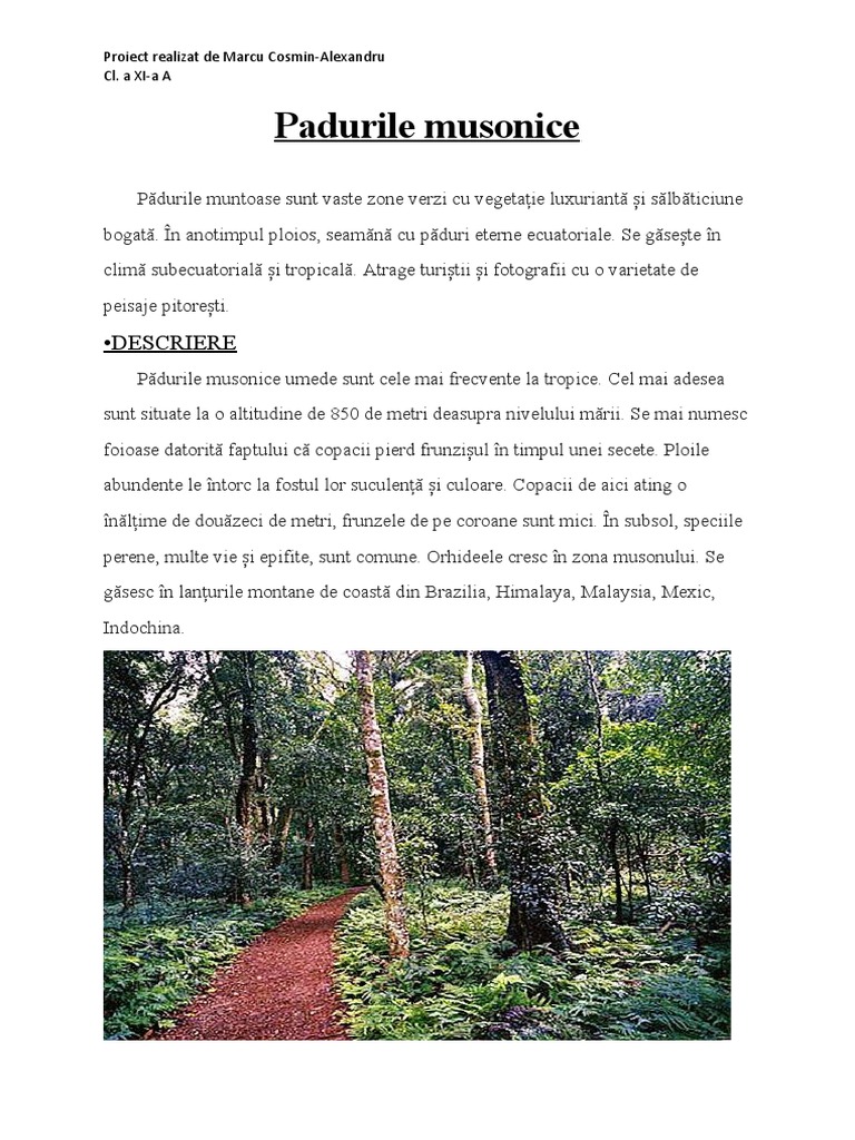 Padurile Musonice | PDF