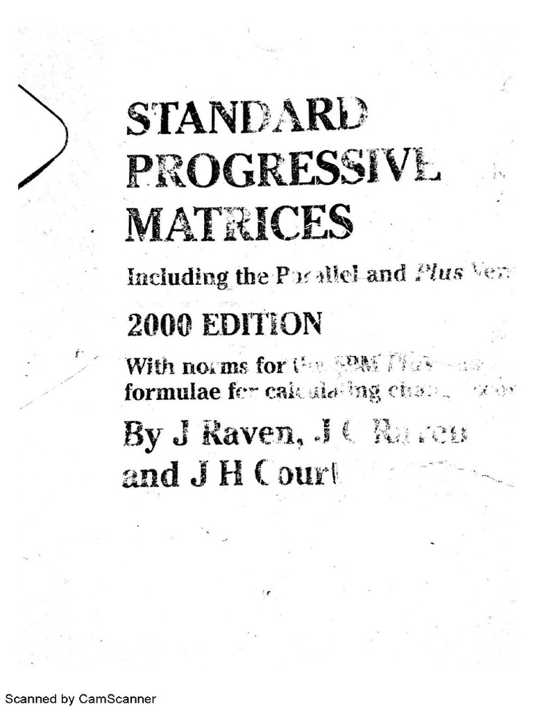 SPM Scoring and Interpretation | PDF