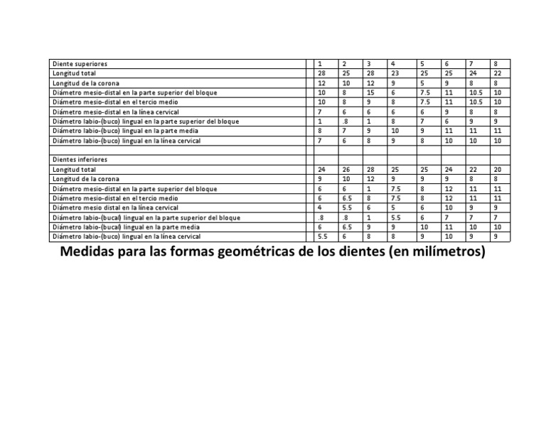 Tabla Medida Diente | PDF