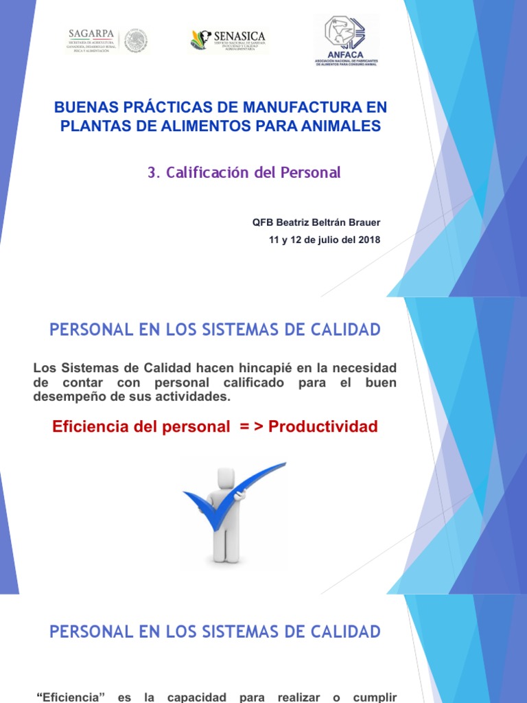 Calificación Del Personal | PDF | Gestión de recursos humanos | Economias