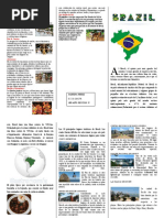 La Ropa Tipica de Brasil | PDF | Ropa | Moda