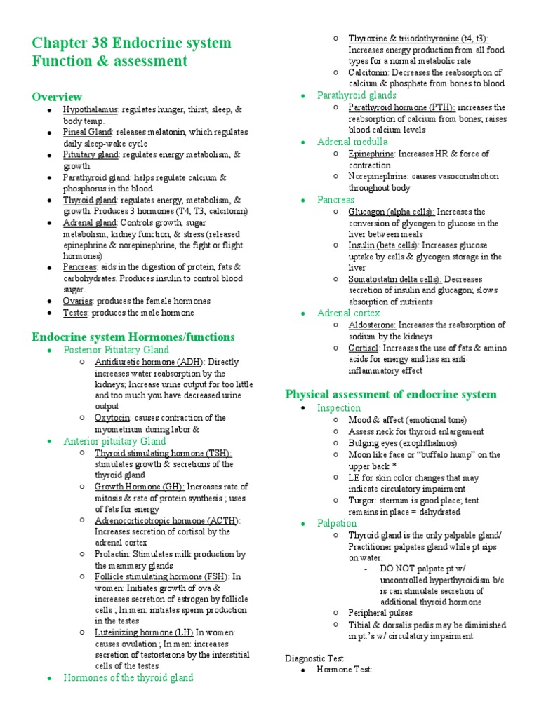 Chapter 38 Endocrine System Function | PDF | Endocrine System | Thyroid ...