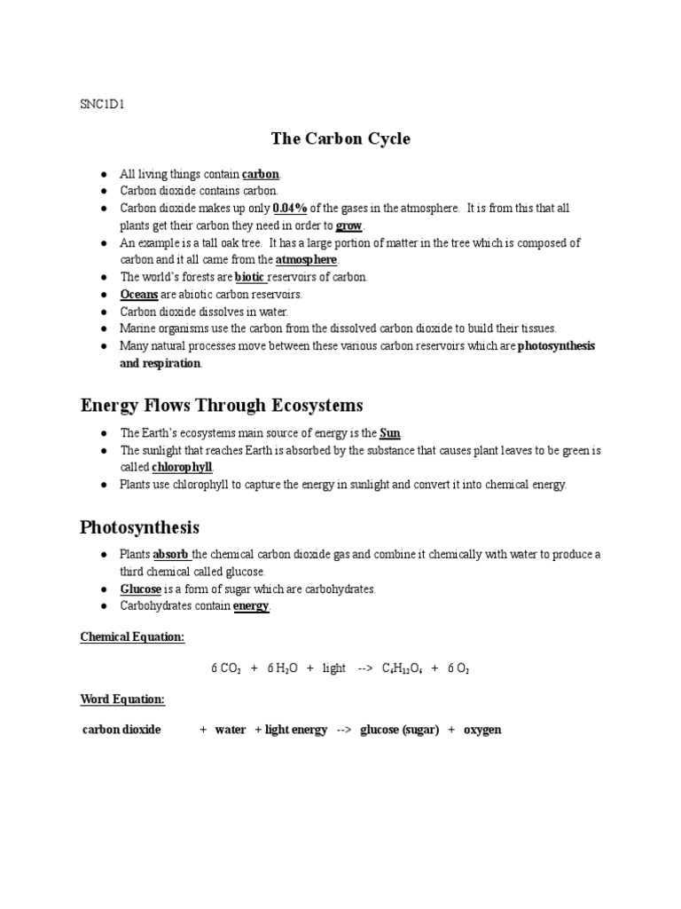 2.4 Energy Flow in Ecosystems | Download Free PDF | Carbon Dioxide | Plants