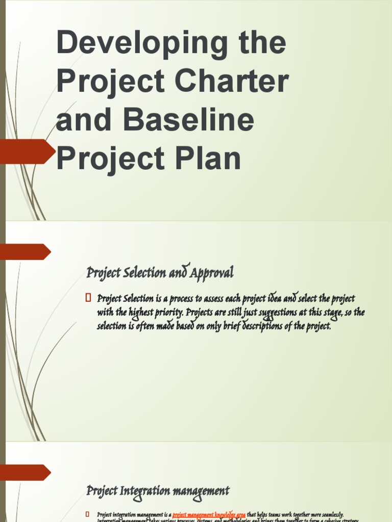 Developing The Project Charter and Baseline Project Plan Serapia | PDF ...