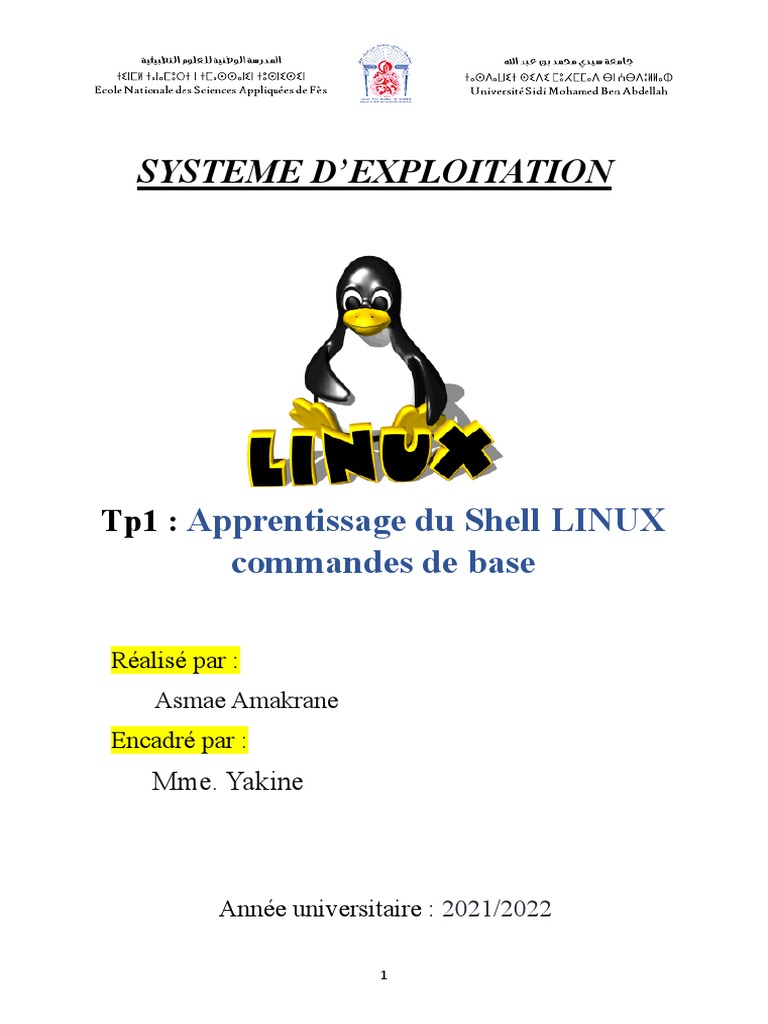 TP Unix Amakrane Asmae | Download Free PDF | Fichier informatique | Répertoire (informatique)