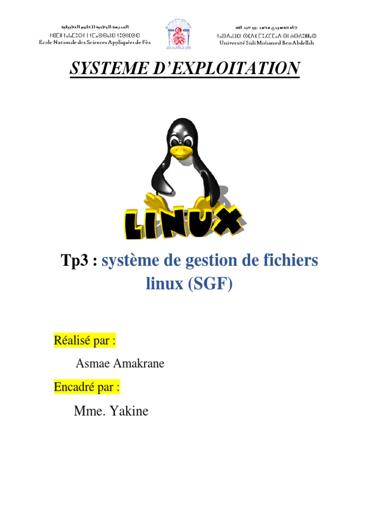 tp3 Unix | PDF | Fichier informatique | Logiciel utilitaire