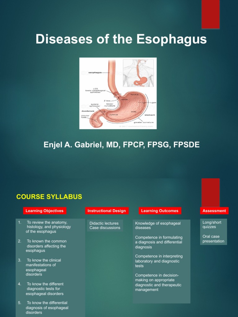 Diseases of The Esophagus | PDF | Esophagus | Gastroenterology