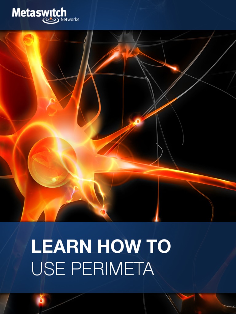 Learn How To: Use Perimeta | PDF | Command Line Interface | Voice Over Ip