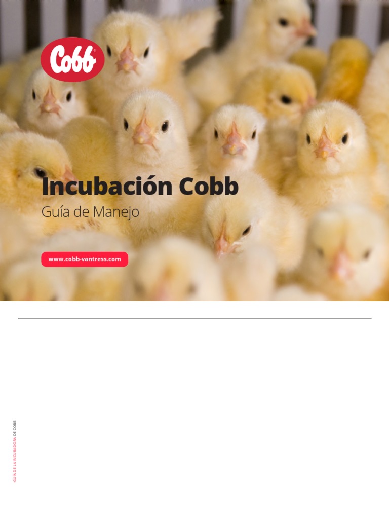 Cobb Hatchery Guide Espanol | PDF | Unidad de cuidado intensivo ...