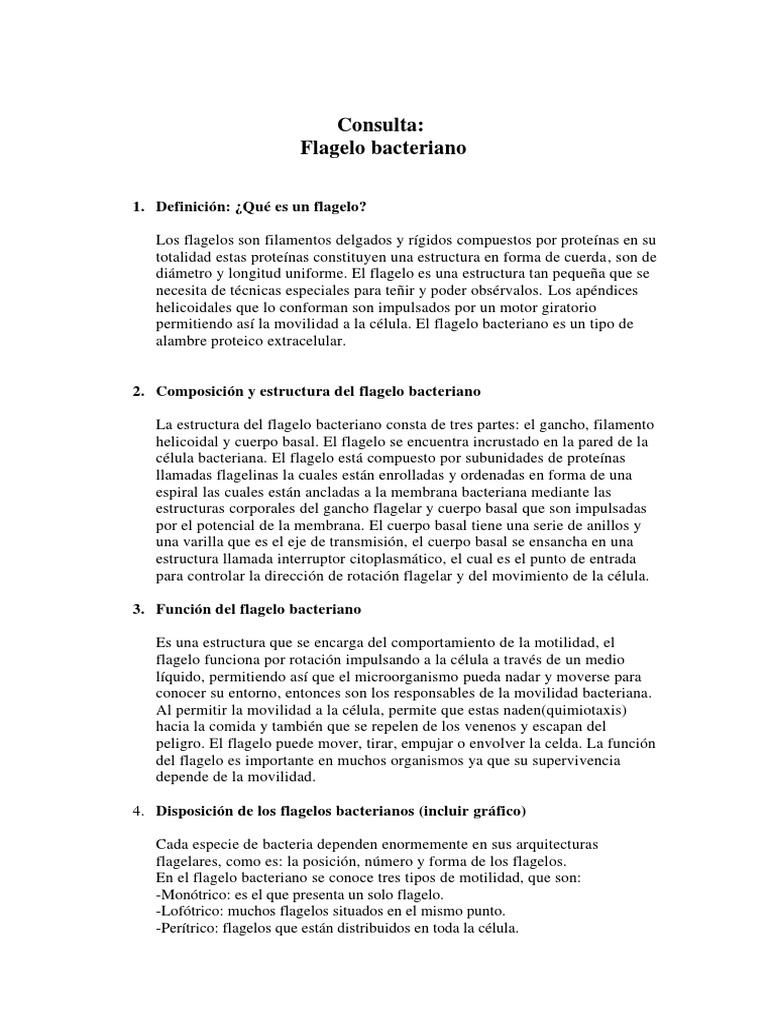 Flagelo Bacteriano: Estructura y Función | PDF | Las bacterias ...